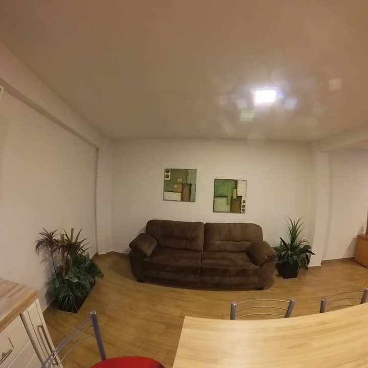 Departamento Tipo Loft - Gomez Palacio