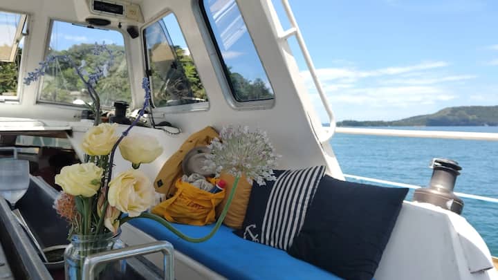 Passeio De Barco Veleiro Paraty - Paraty