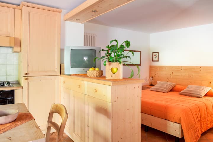 Albergo Diffuso Sauris, Monolocale Vista Giardino - Forni di Sopra
