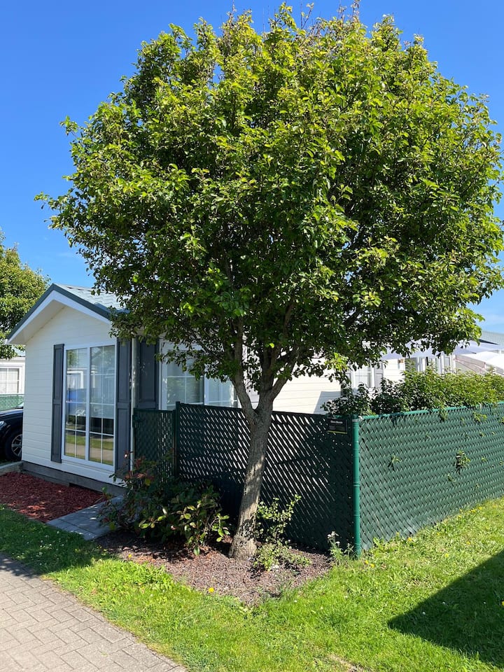 Gezellig Zeechaletje - Blankenberge