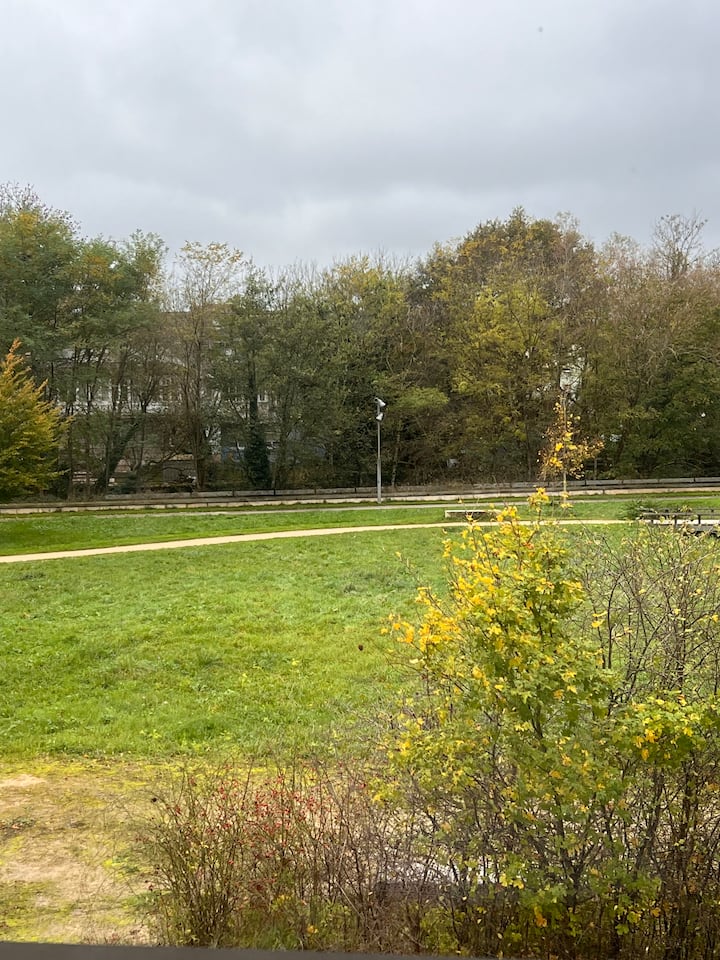 Suite De La Citadelle - Belfort