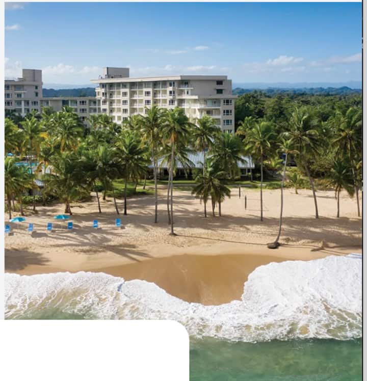 Winter Escape In Puerto Rico 12/21-28, 2024  Only - Dorado