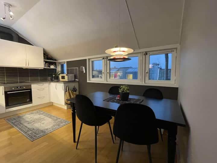 Sentral Leilighet Med Balkong - Tromsø