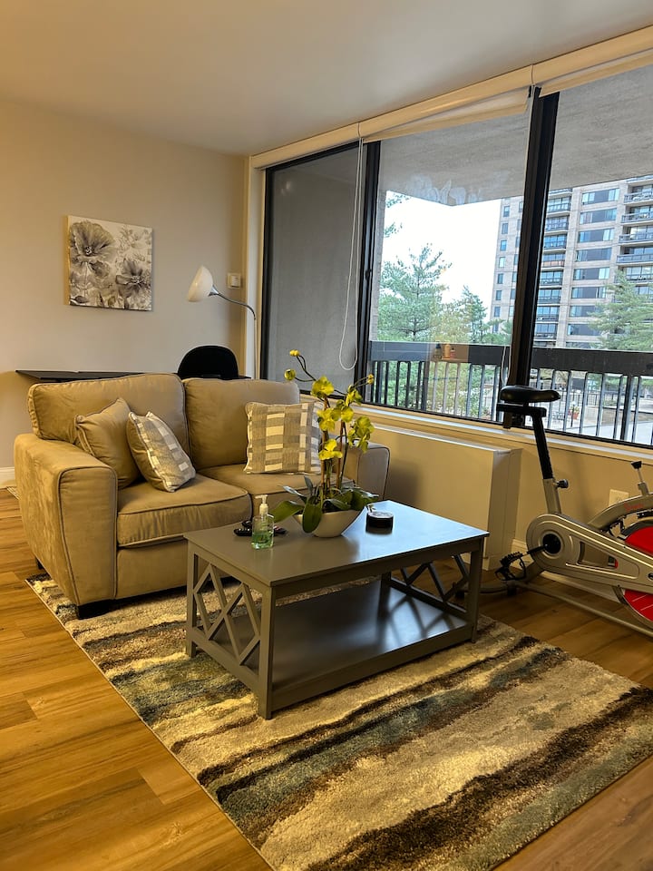 Mimi's Condo Falls Church Va - Alexandria, VA