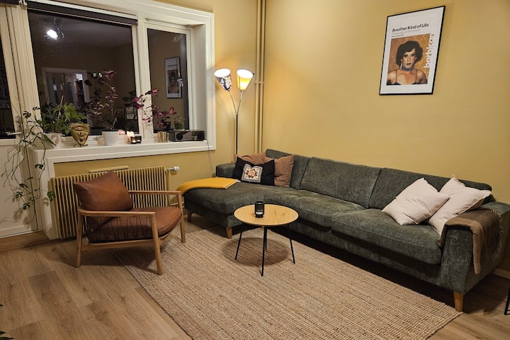 Flat In Charming Vålerenga - Oslo