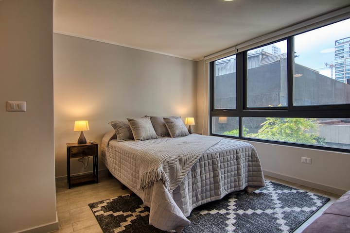 Moderno Loft En Barrio Italia - Santiago