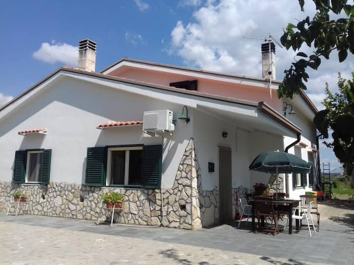Affitasi Casa Policoro (Matera) - Scanzano Jonico