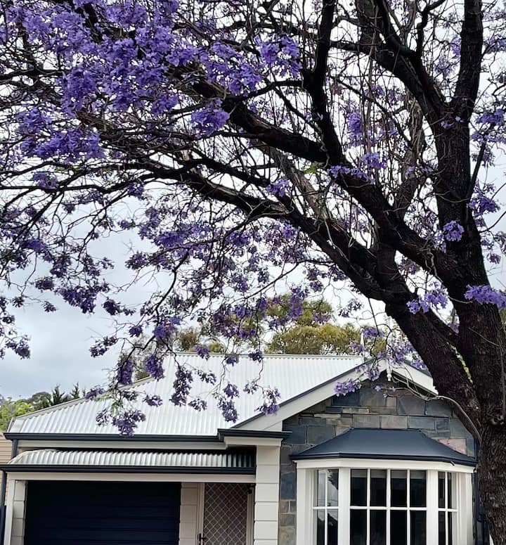 Bright & Spacious Home Close To Cbd, 4 Beds, 3brs - Adelaide
