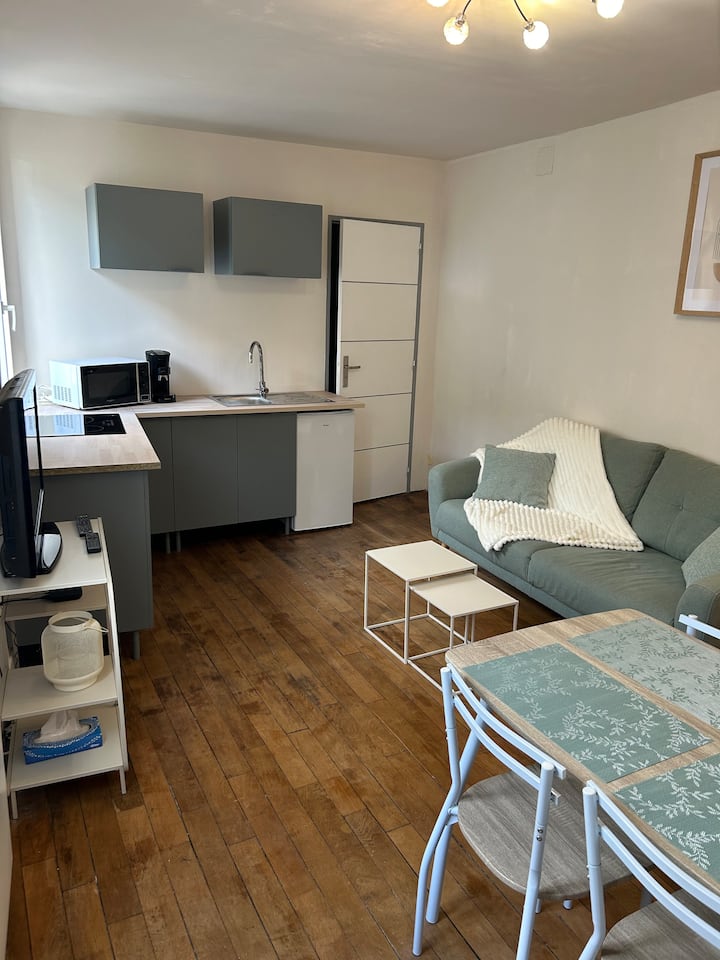 Duplex En Centre Ville De Chinon - Chinon
