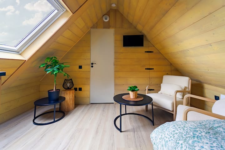 Le Petit Chalet Du Centre-ville - Strasbourg