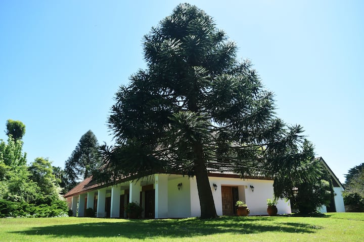 Villa Con Gran Capacidad En Golf - Punta del Este