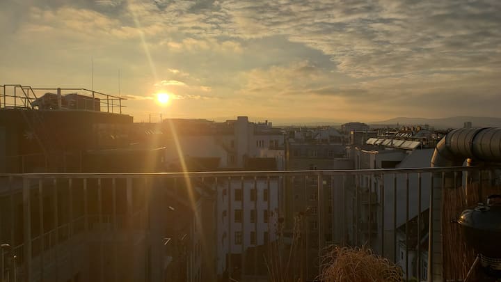 Zimmer Mit Dachterrasse In Wien - Vienne