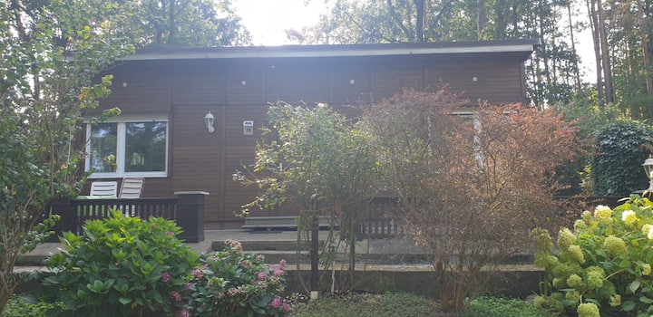 Haus Im Wald Am See - Beelitz