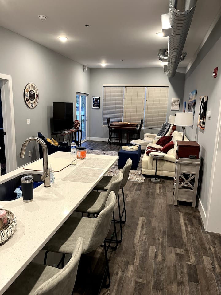 30+ Day Main St Rental - 查塔努加