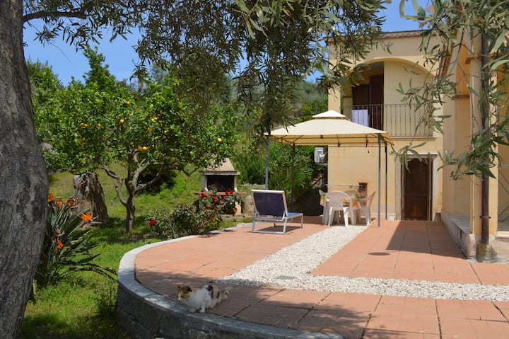 Casa Vacanze Da Anna
Appartamento Con 2 Camere - Tortolì