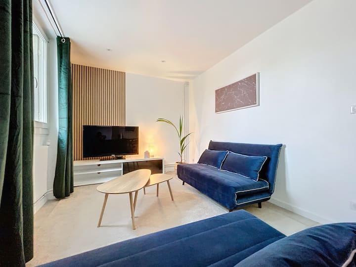 Le D'alembert-joli T3 Lumineux - Dijon