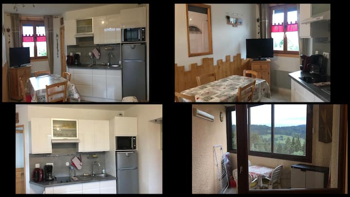 Appartement Au Pied Des Pistes - Praz de Lys Sommand