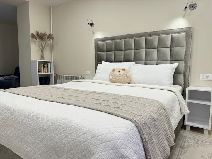 Dream Apartment - 基希訥烏