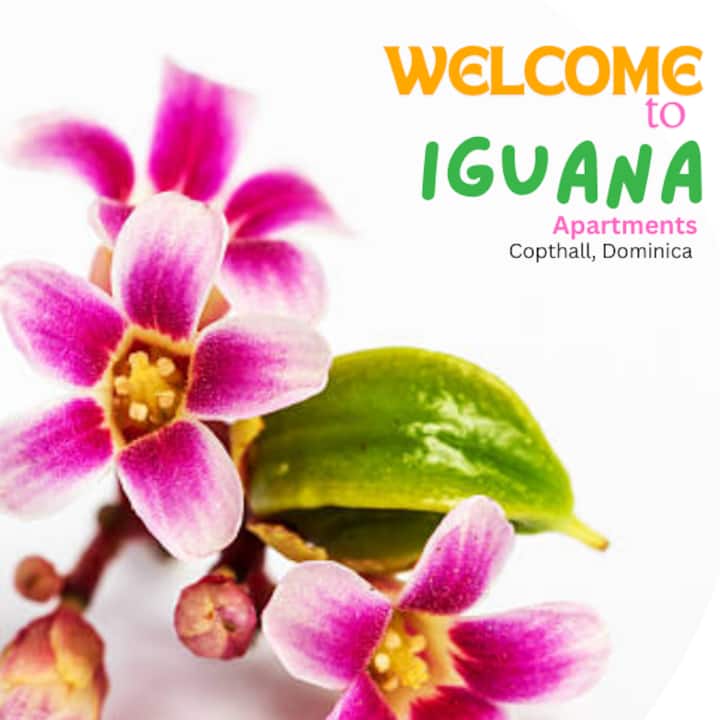 Iguana Apartments - Roseau