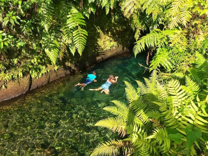 Iguana Apartments: Near Roseau | Tourist Sites - Dominica