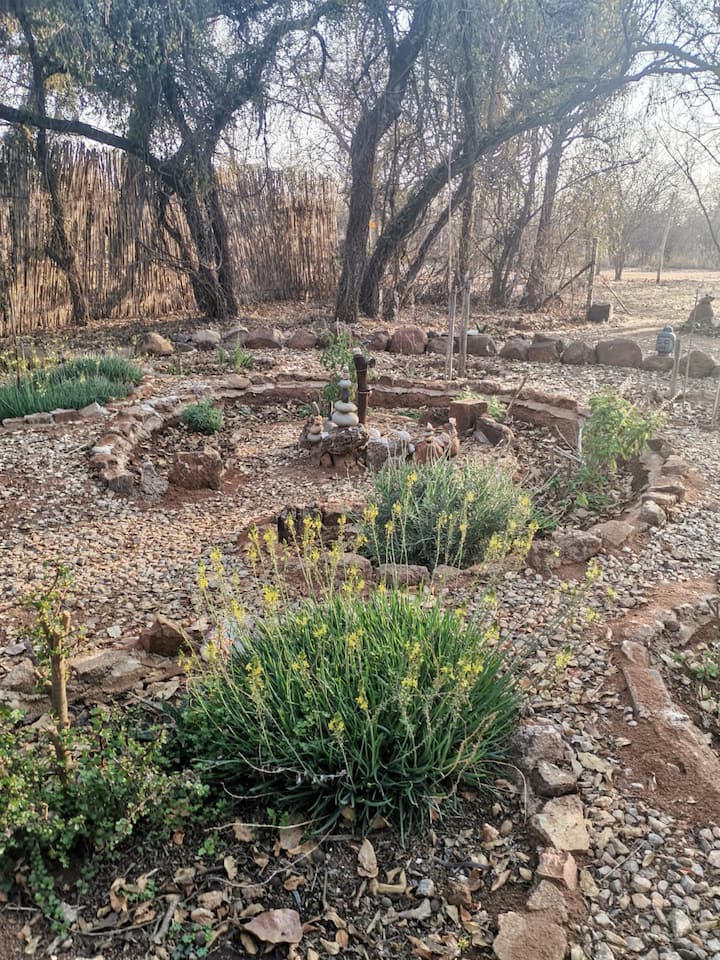 Aba Té Nature's Bliss - Hammanskraal