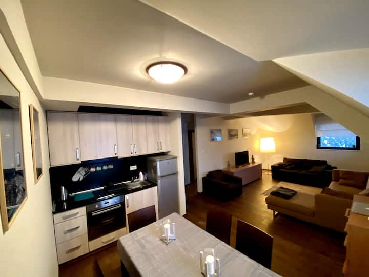 Vidik Resort Kopaonik - 50m2 Ap (Private Parking) - Kopaonik