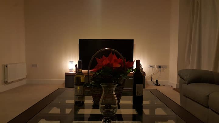 Large Bedroom/living Room -  3 Min To Guildford - Guildford