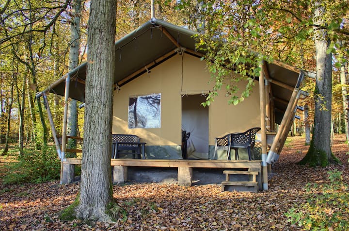 Camping Le Roptai - Tente Safari 6p (Forêt) - Wellin