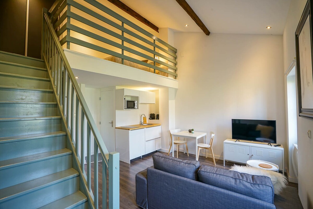 Yvette Guilbert - Apartments for Rent in Albi, Occitanie, France - Airbnb