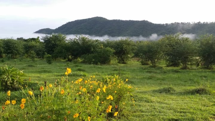 Nature Camp Ground At Maejang Farm - Kanchanaburi