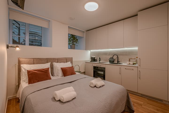 Charming Lower-level Studio - Vilna
