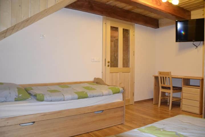 Lovely Family Room At Ekoturizem Viženčar, Krvavec - Logarska Dolina