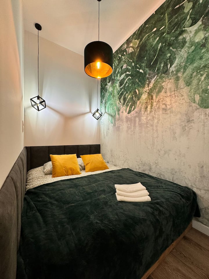 R_kosciuszki_47_5_apartment With A Touch Of Nature - 卡托維茲