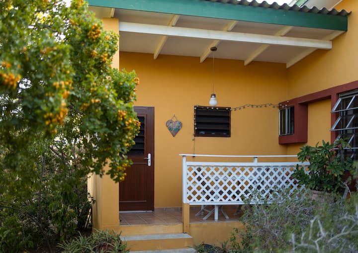 Cozy One Bedroom Apartment - Curaçao