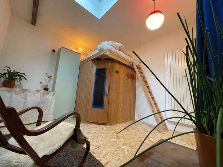 Charmante Kamer Met Sauna - Anvers