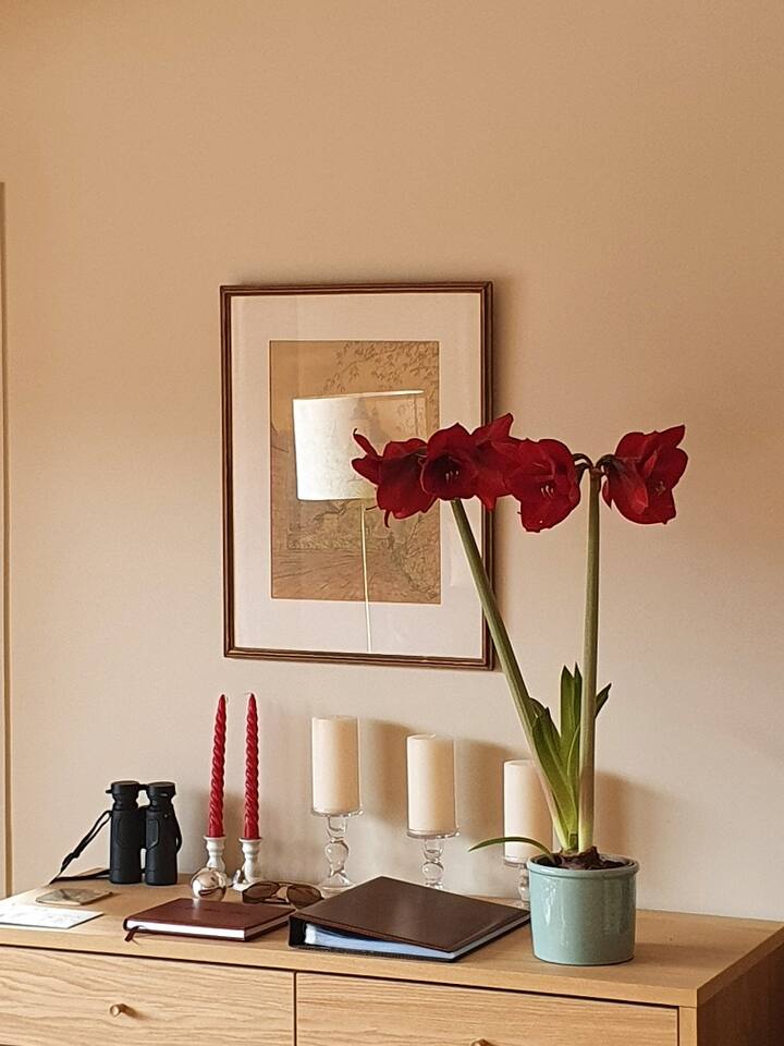 Vue Du Mont-blanc - Passy