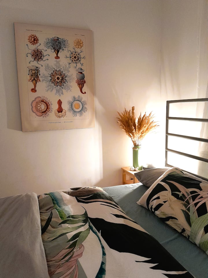 Spacious Home In Old-west - Leipzig