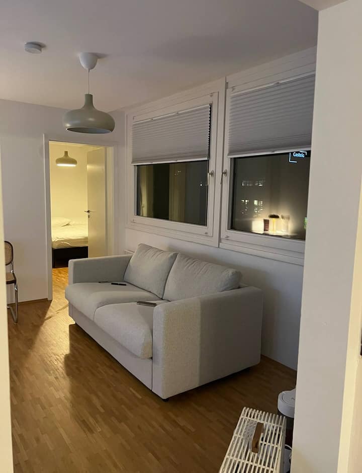 Central Munich Apartment - Munich