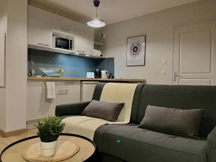 Charmant Studio - Villeurbanne