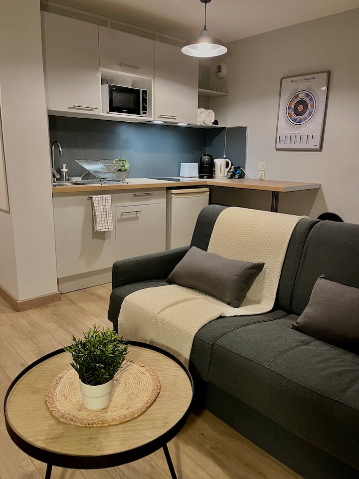 Charmant Studio Villeurbanne – Proche De Lyon - Villeurbanne