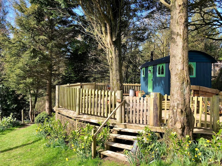 Shanti, Our Indian Shepherds Hut - Kerry