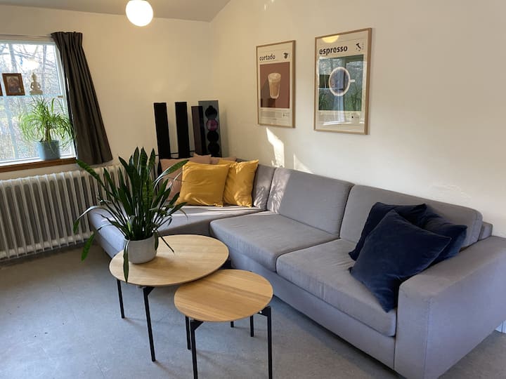 Odense M. 
Hytten Casa Fraulo - Odense