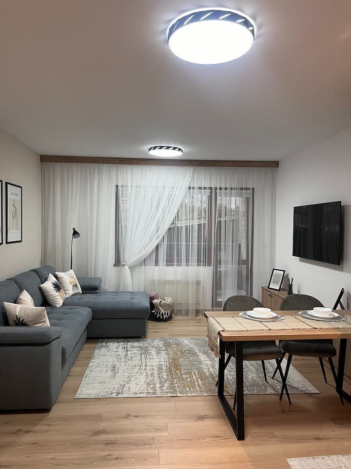 Millennium Apartment - 班斯科