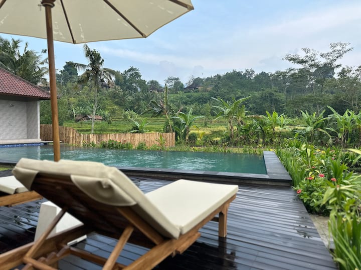 Serenity With Rice Field View In Sidemen - Sidemen