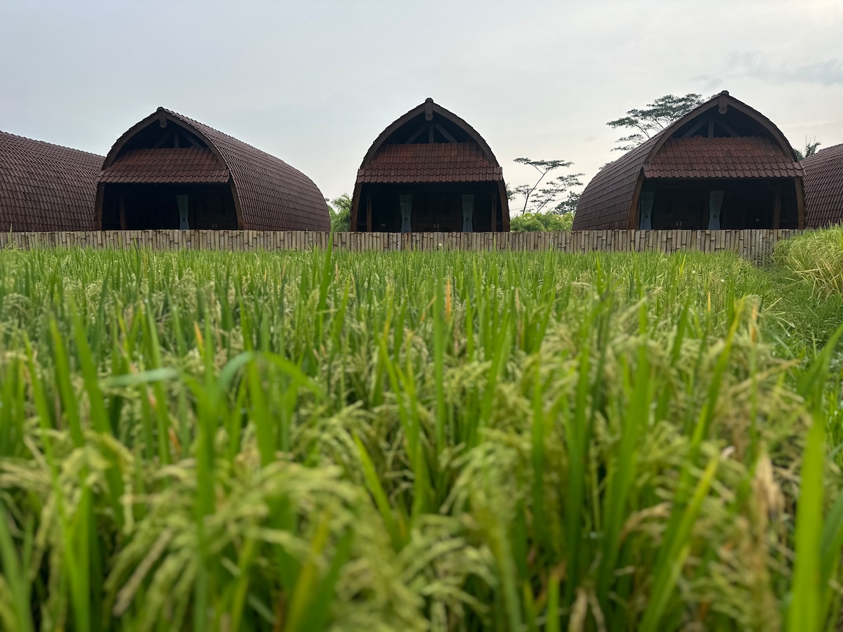 Barn in Sidemen with Rice Fields View - Bungalows for Rent in Sidemen ...
