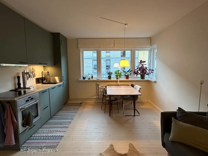 Hyggelig Leilighet På Majorstuen - Oslo