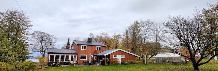 Villa Rotvoll - Midt I En Park! - Trondheim