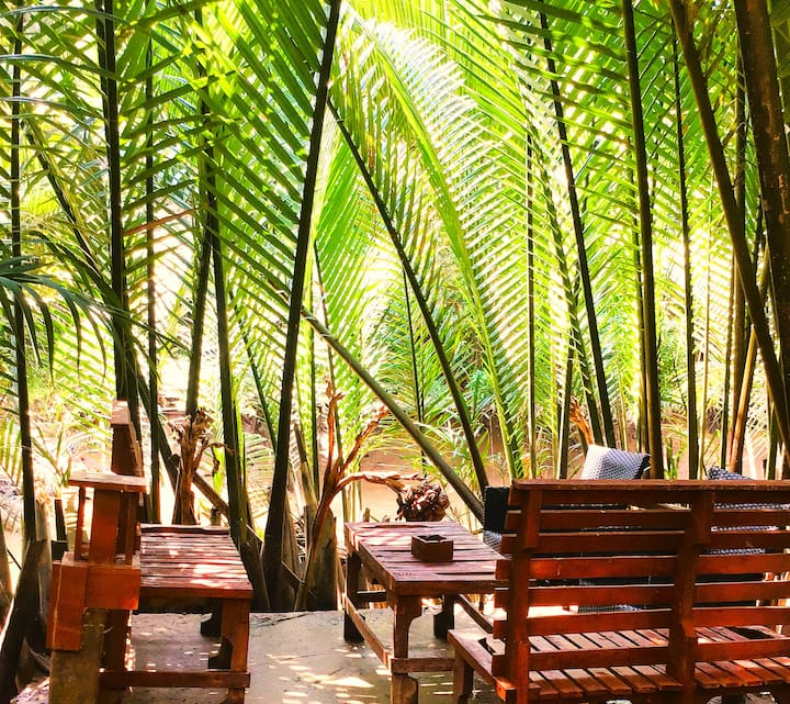 Phòng 2 Giường đôI-
Bentre Farmstay - Ben Tre