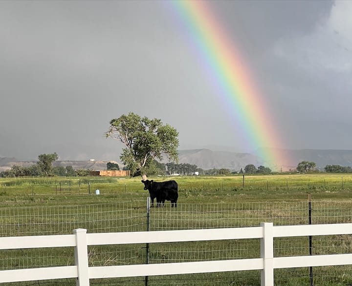 Next To Cobble Creek Golf Course Beautiful Views - Montrose, CO