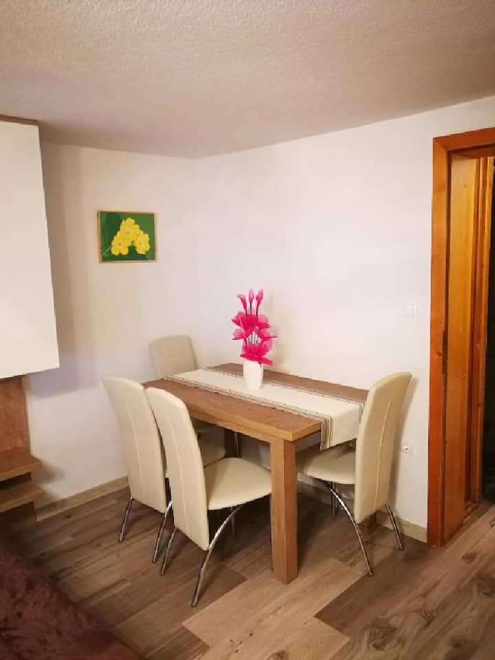 Standard Studio At Ekoturizem Viženčar On Krvavec - Logarska Dolina
